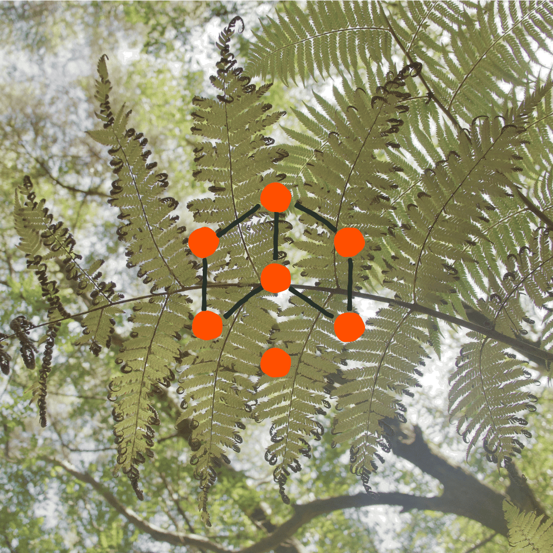 Open Source VC | Airtree Ventures